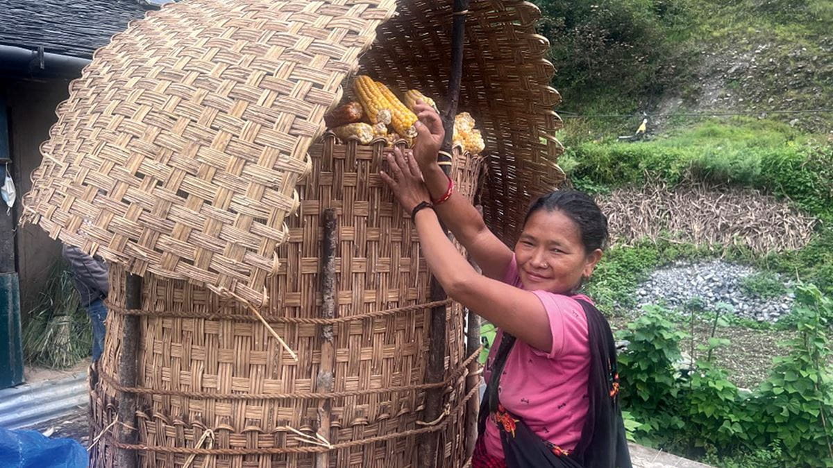 Articles: Grain storage - Tearfund Learn