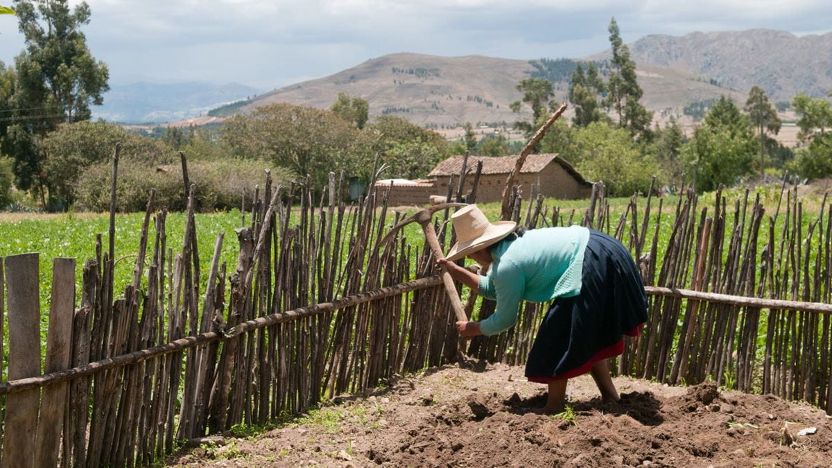 Impact reports: Building networks and advocacy movements in Peru ...